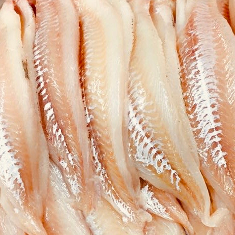 Haddock Fillet Skinless and Boneless 140/160g – Hodgson Fish