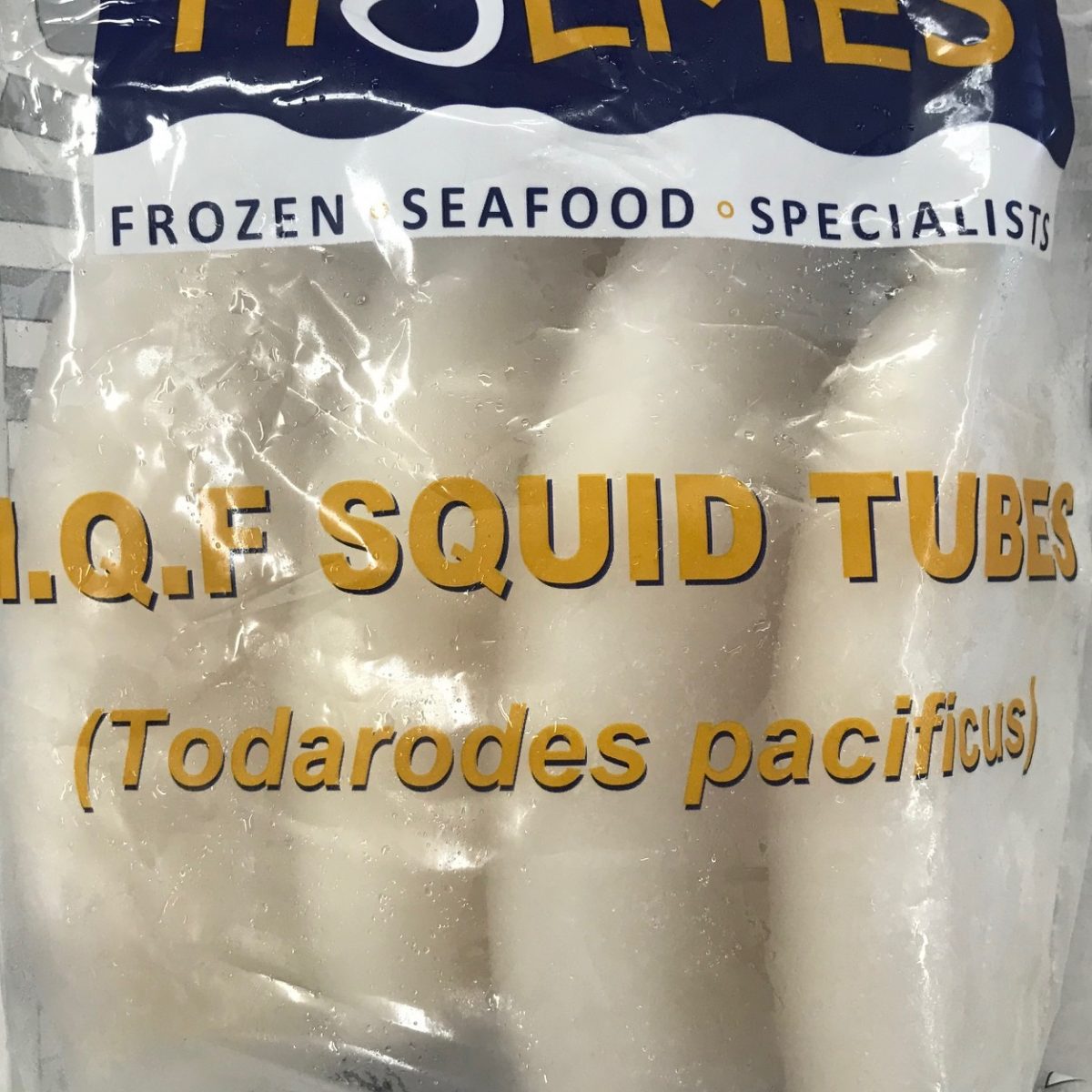 Extra Large Jumbo Shell on King Prawns – Hodgson Fish