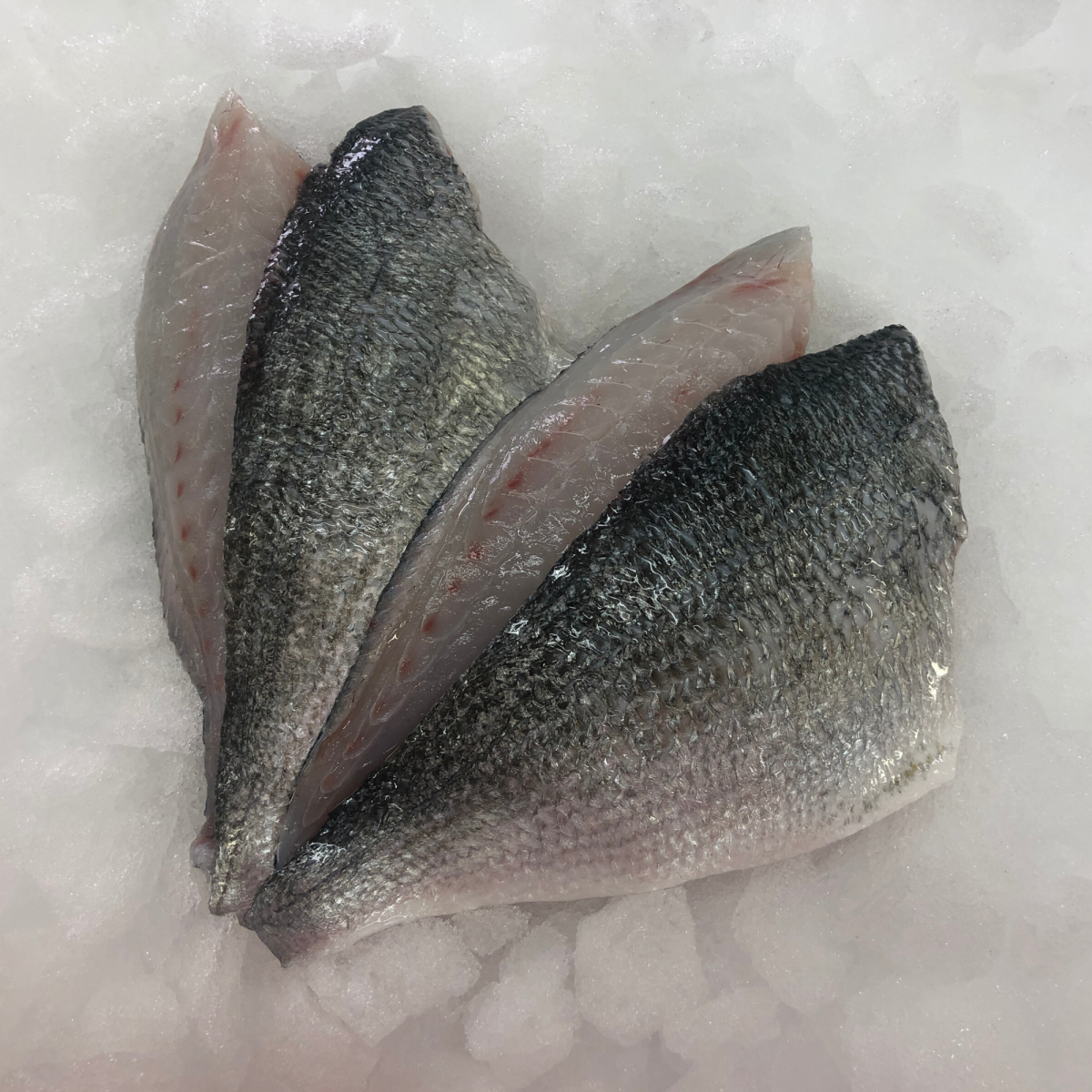 Whole Sea Bream (gutted) 400/600g – Hodgson Fish