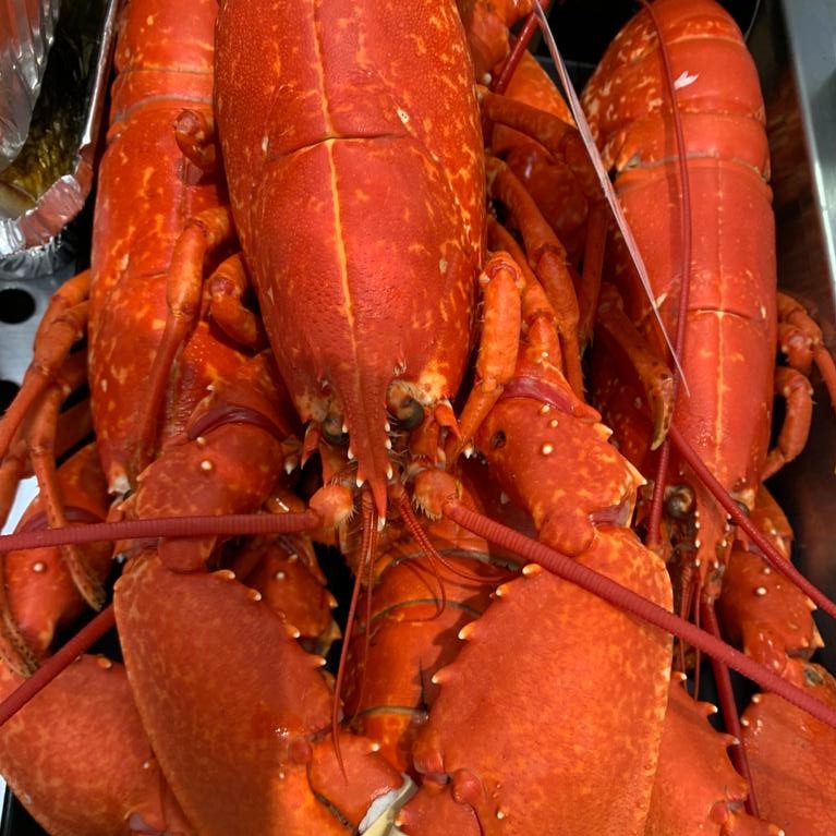 500gm Native Boiled and Dressed Lobster – Hodgson Fish